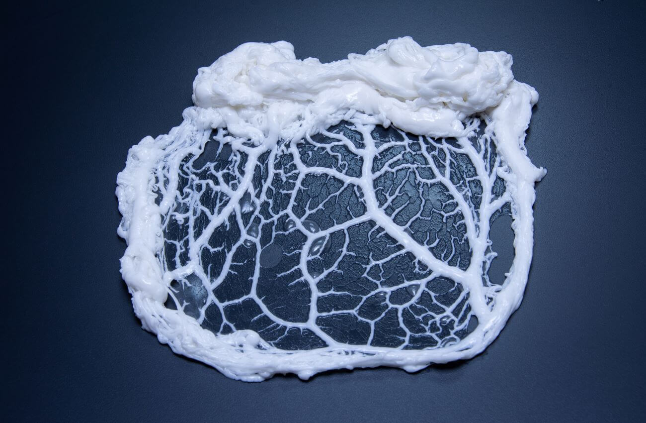 Crépine / Coiffe de Porc | Imperial MEAT & Fish